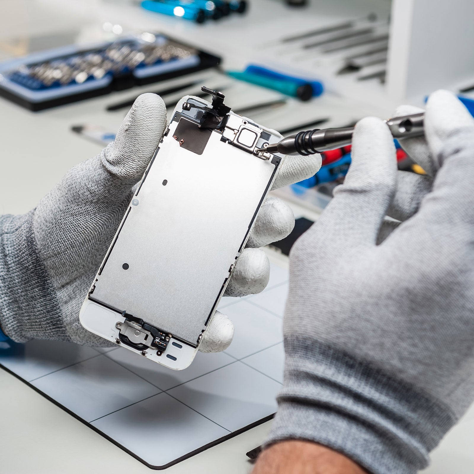 6pcs PH0 PH1 SL1.4-SL3.0 Mini Slotted Phillips Precision Screwdriver ...